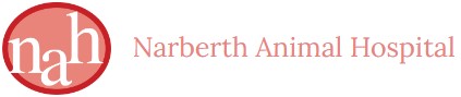 Narberth Animal Hospital in Narberth, PA